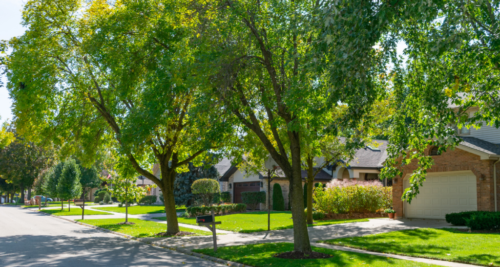 OUC Named a Tree Line USA Utility for 25th Straight Year - OUConnect