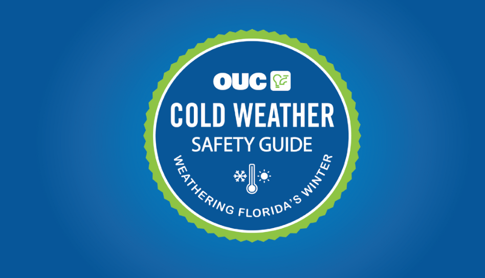 Simple Steps to Stay Safe, Warm, and Energy-Smart During Cold Weather ...